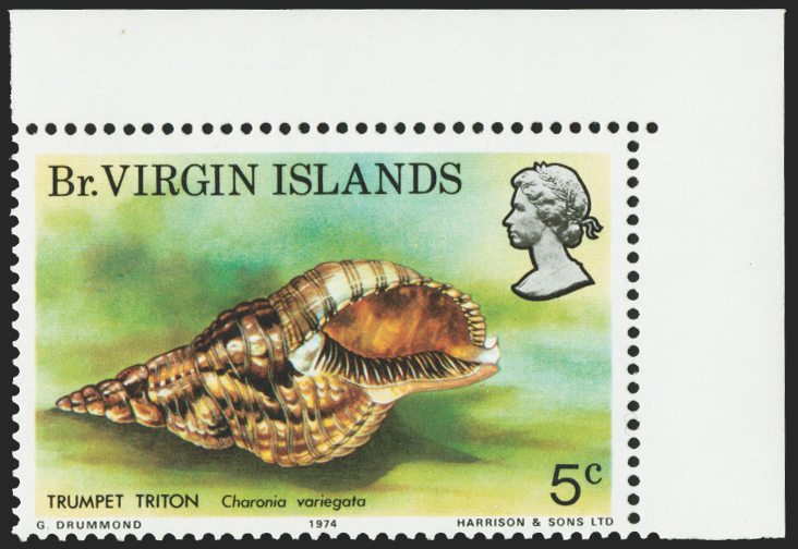 VIRGIN ISLANDS 1974 5c seashell error (UNUSED), SG317a — JustCollecting