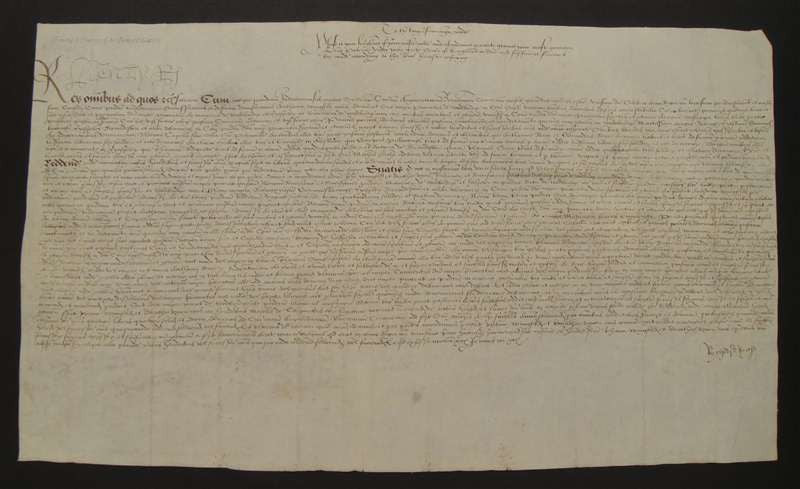 Henry VIII Signed Document — JustCollecting