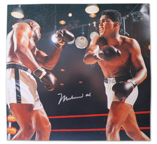 Autographs — JustCollecting